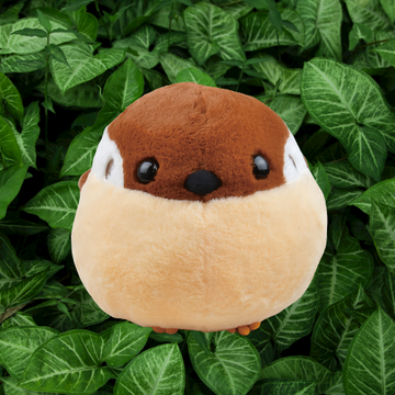 Hang out with Hangyodon! | Facts about Hangyodon | Sanrio Characters ...